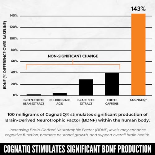 focus and clarity with nootropic mushrooms