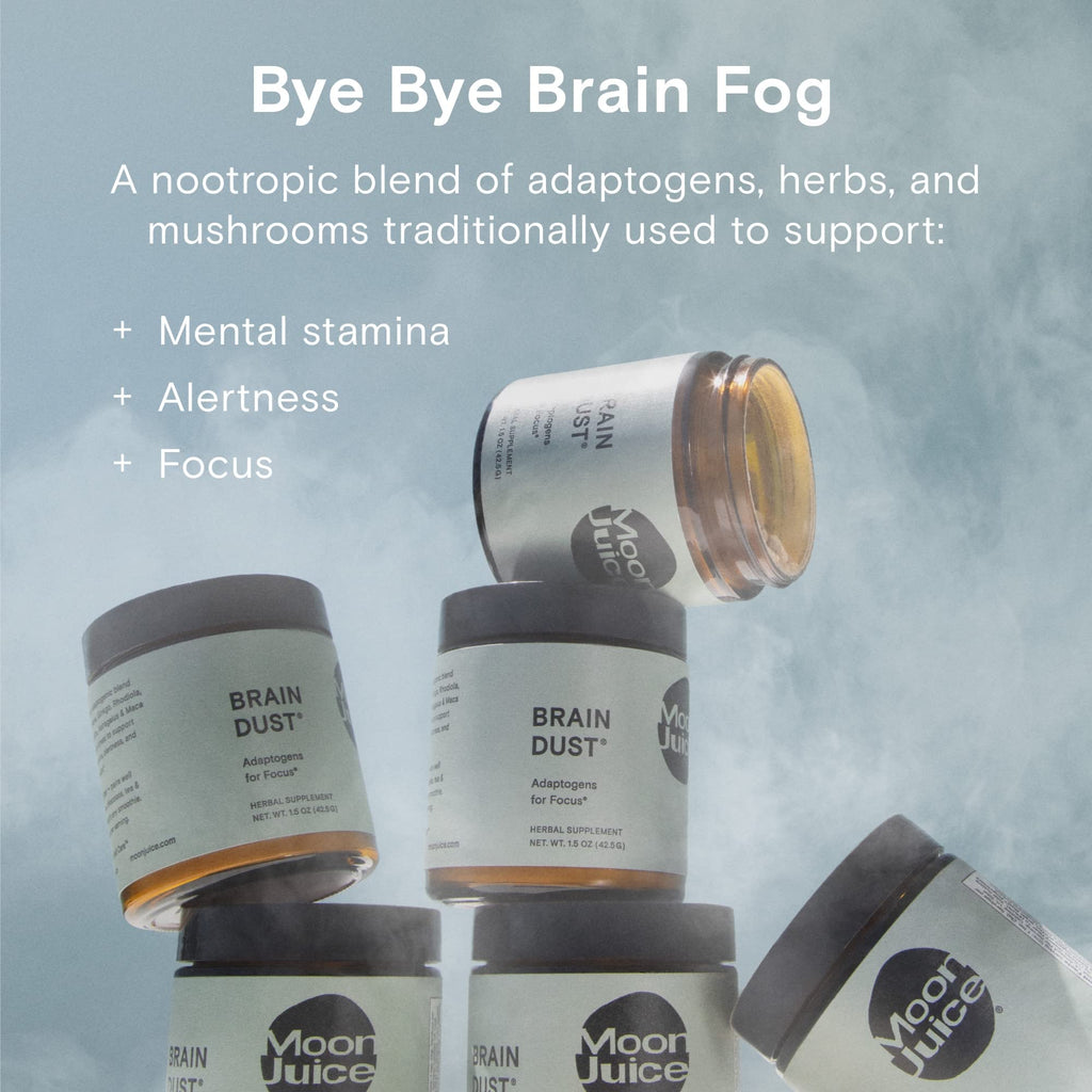 focus and concentration mushroom blend