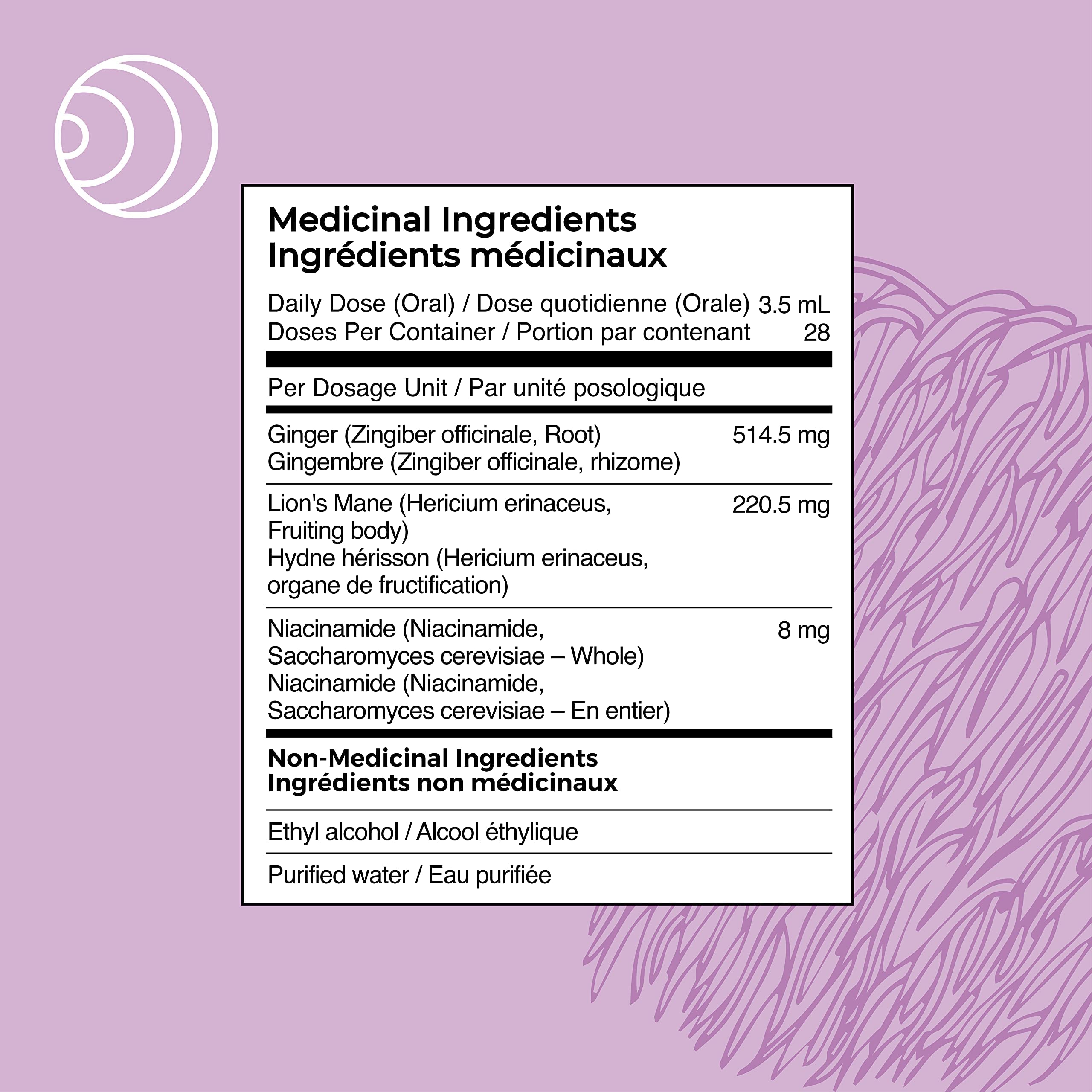 focus and concentration mushroom blend