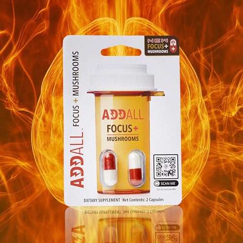 focus and concentration mushroom blend