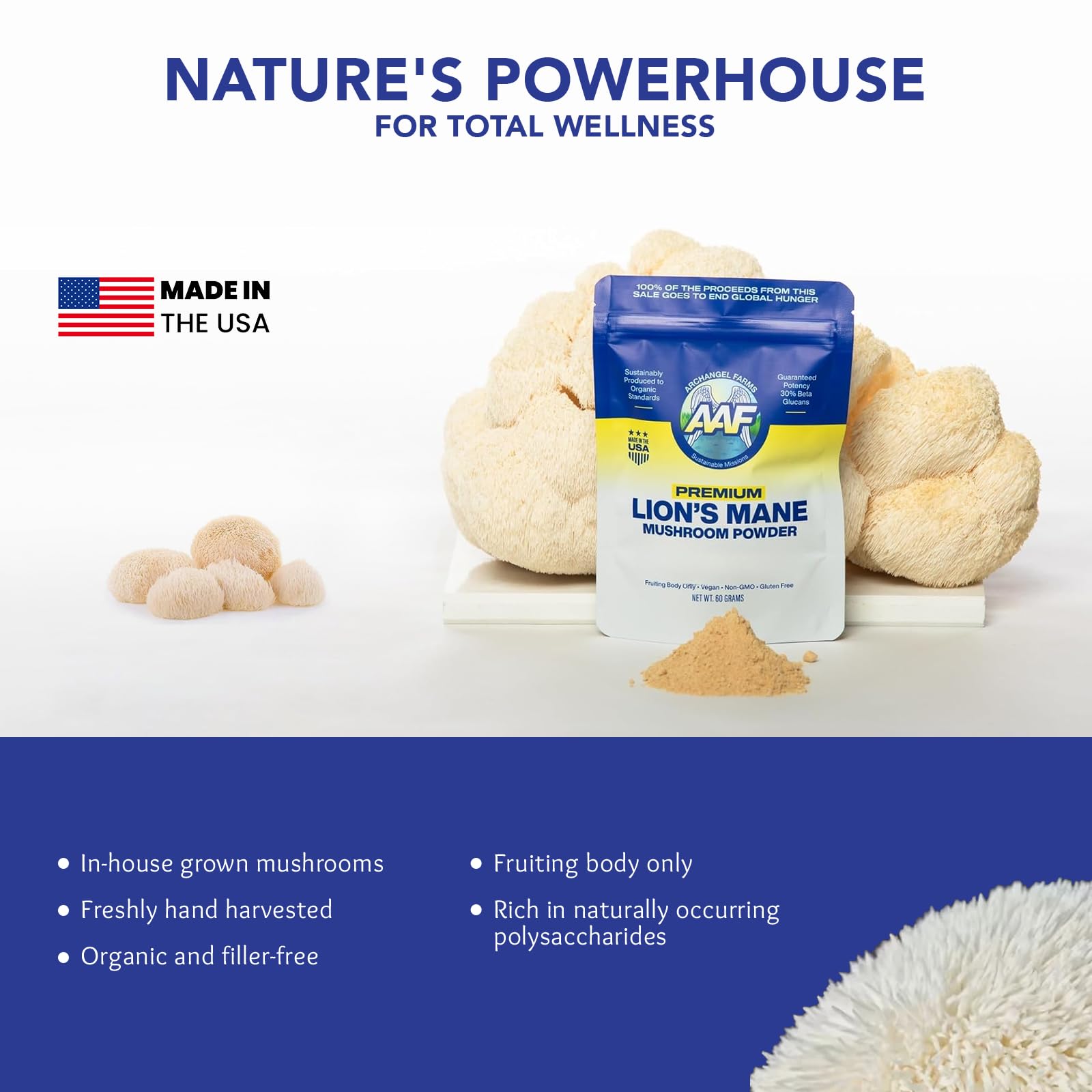 focus and concentration mushroom supplement