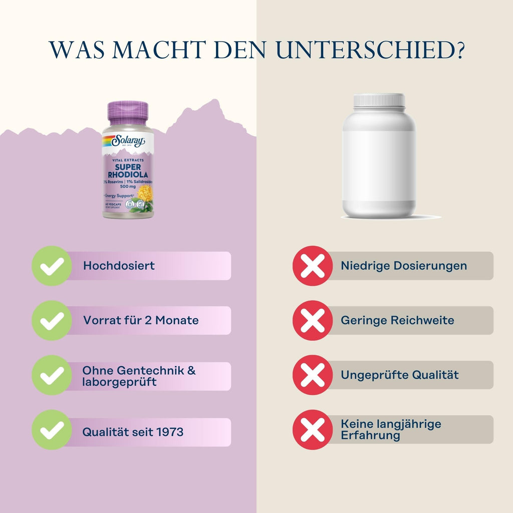 focus and concentration supplements