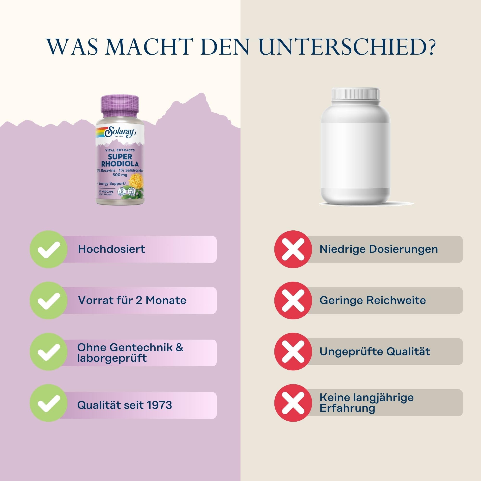 focus and concentration supplements