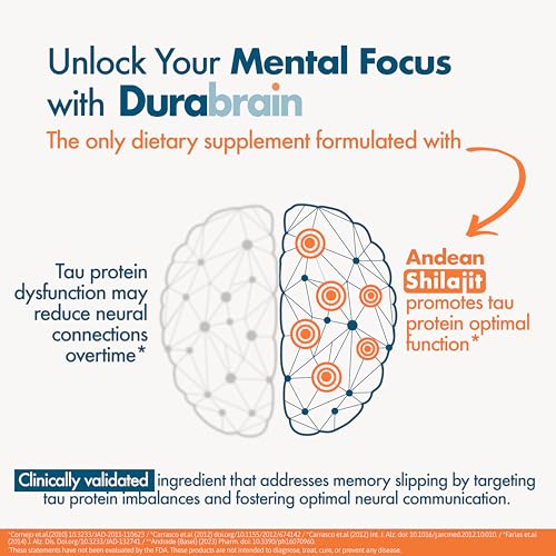 focus and concentration support capsules