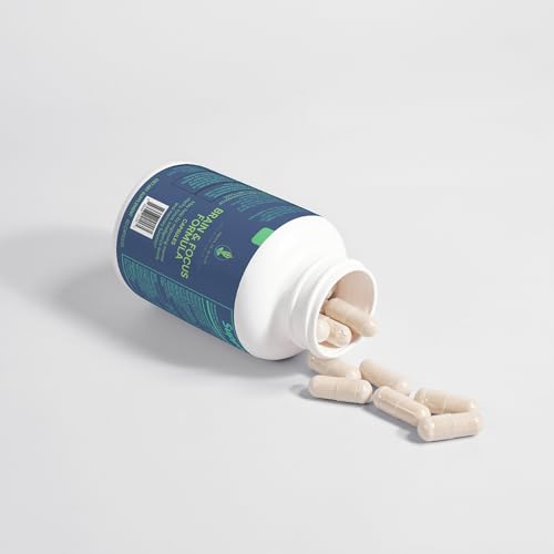 focus and concentration support formula