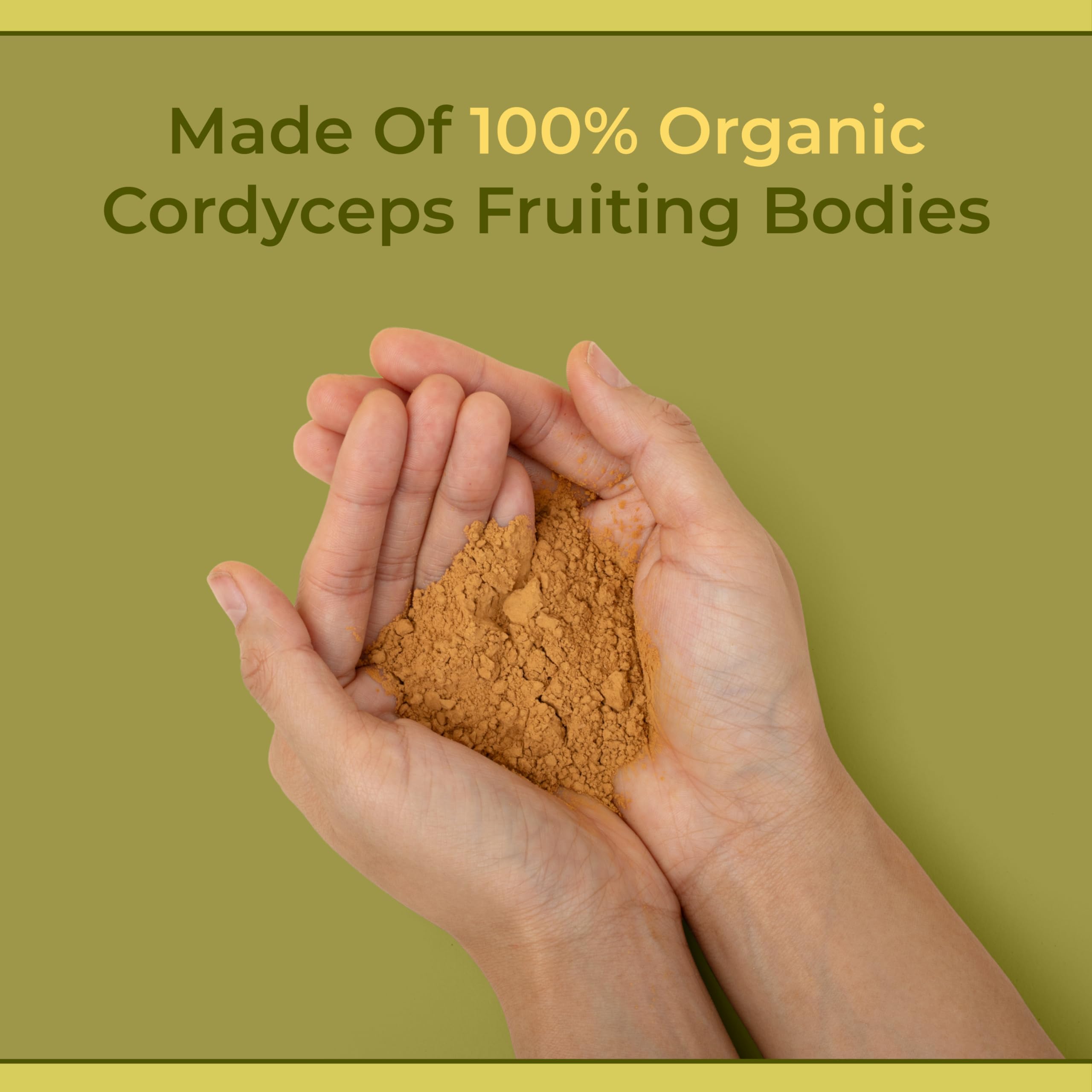 focus and energy from cordyceps mushroom extract
