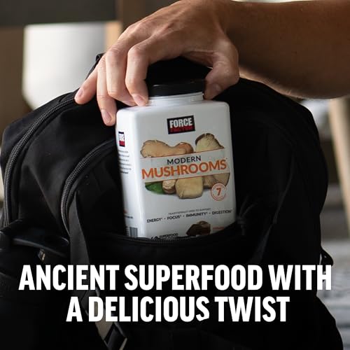 focus and energy from mushrooms