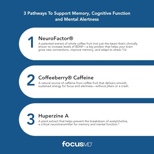 focus and energy in one supplement
