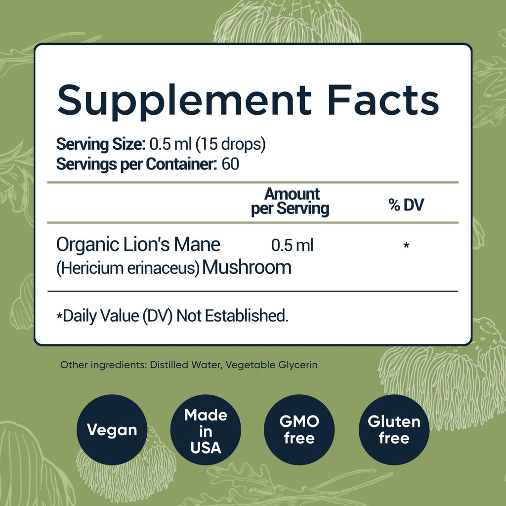 focus and memory booster supplement