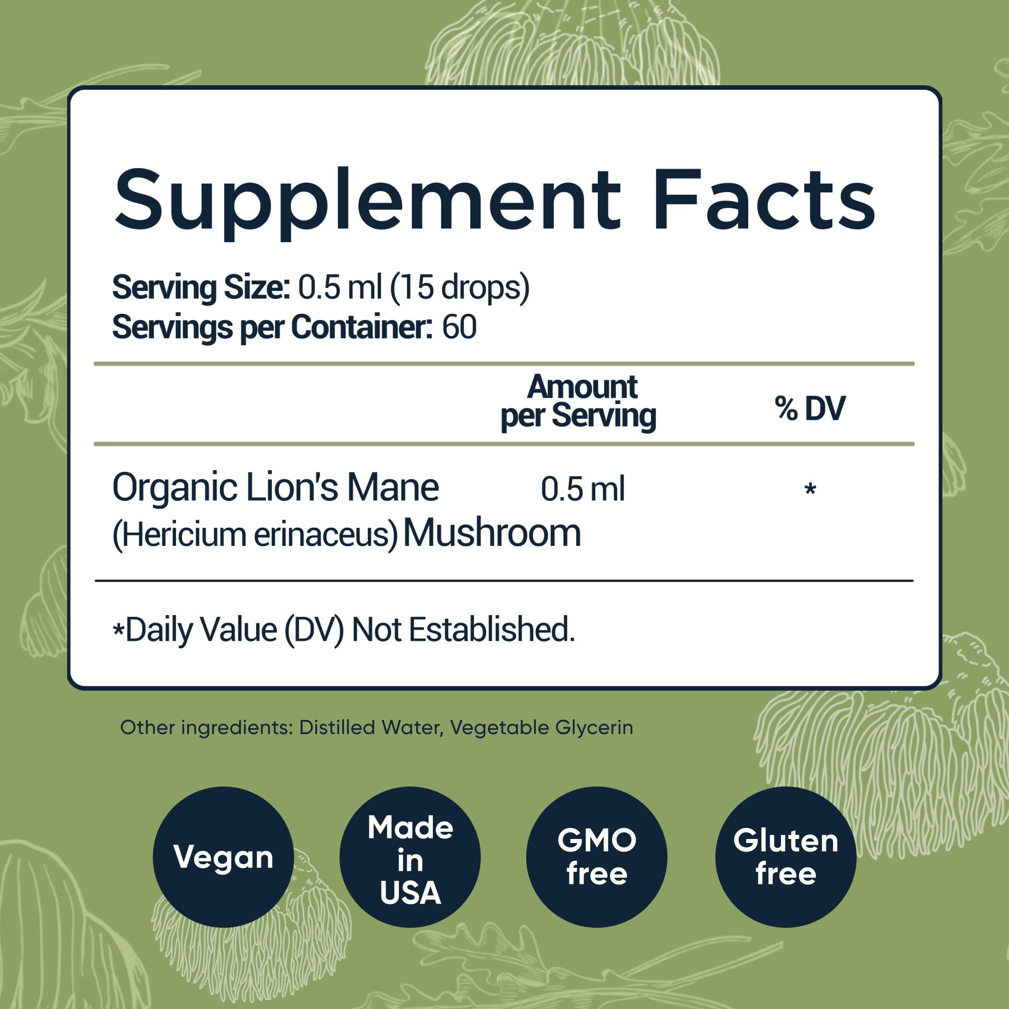 focus and memory booster supplement