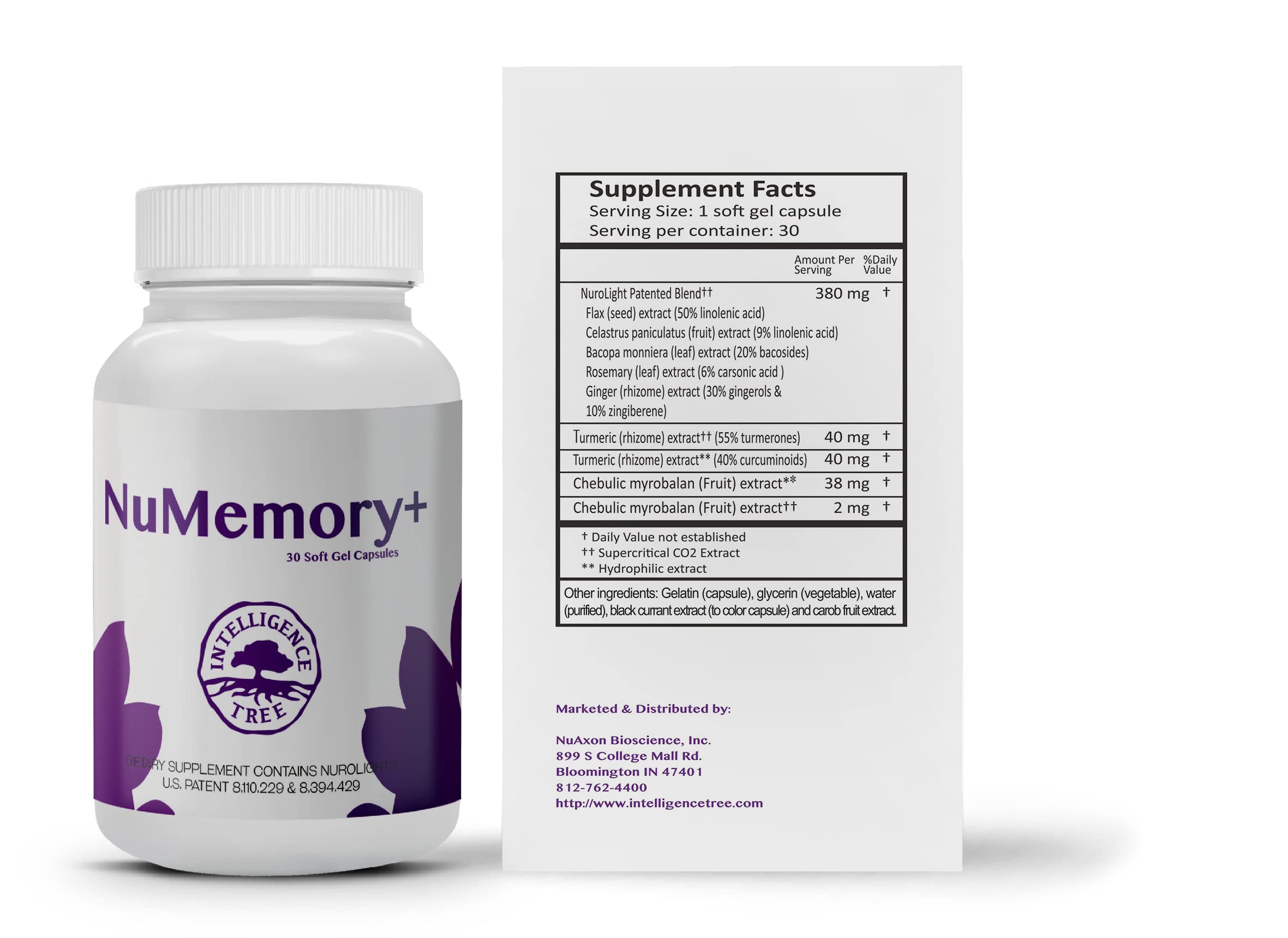 focus and memory enhancement pills