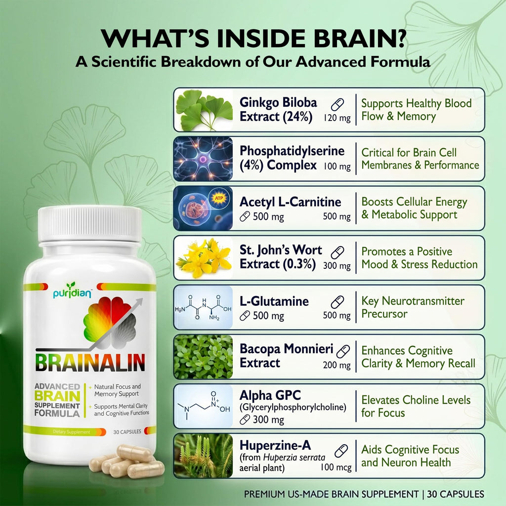 focus and memory enhancement supplement