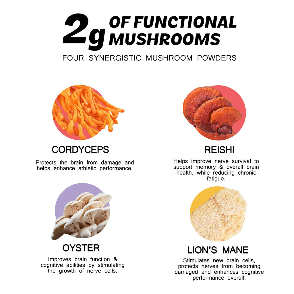 Focus and memory enhancement supplement