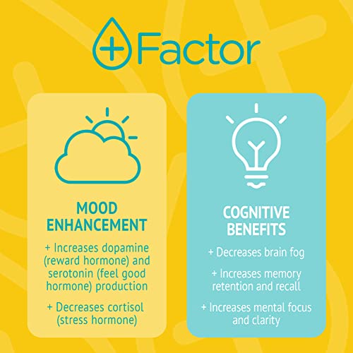 Focus and memory enhancement supplements