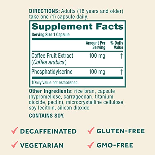 Focus and memory improvement capsules