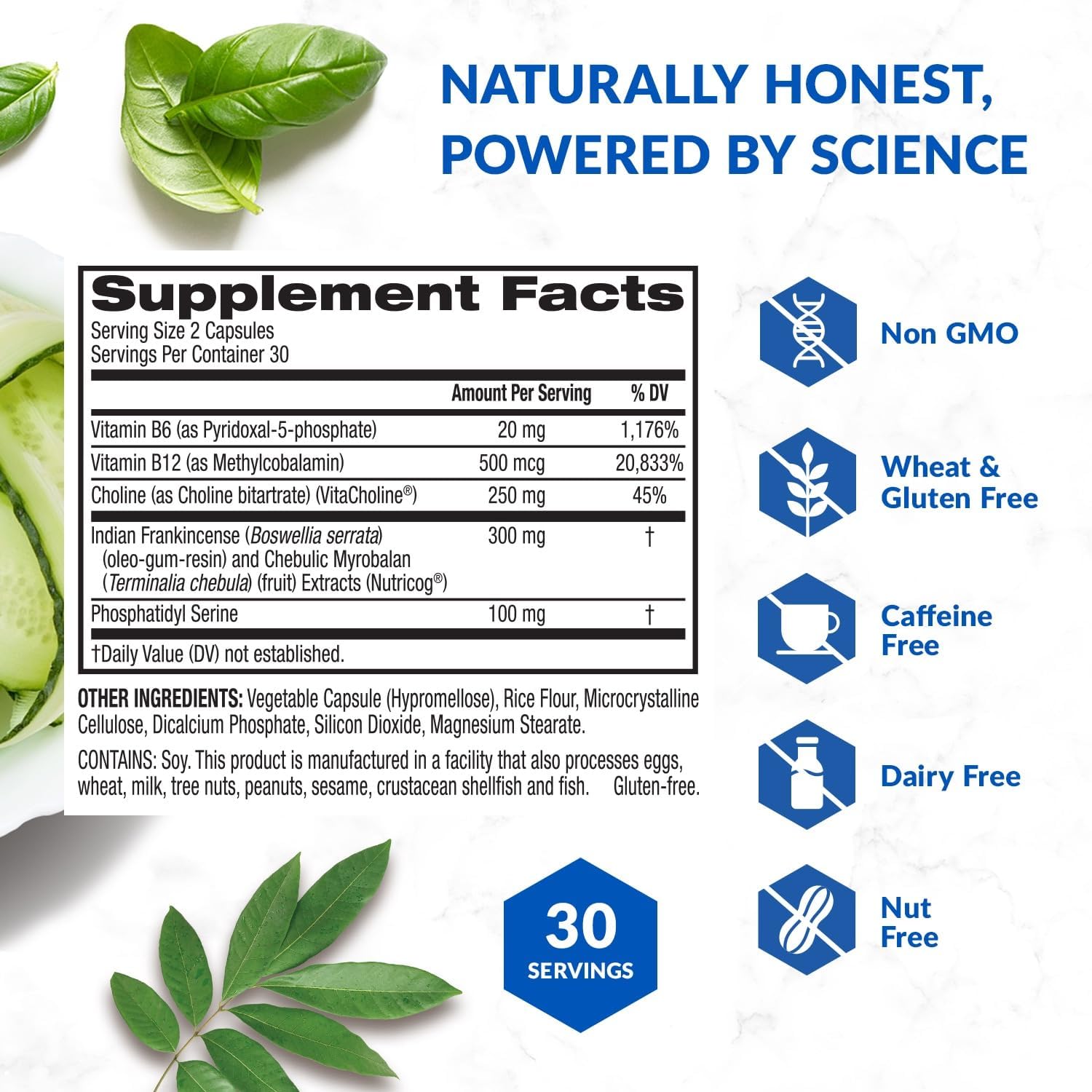 focus and memory improvement capsules