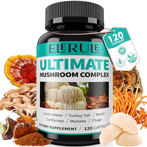 focus and memory mushroom blend
