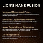 Focus and memory support mushroom supplement