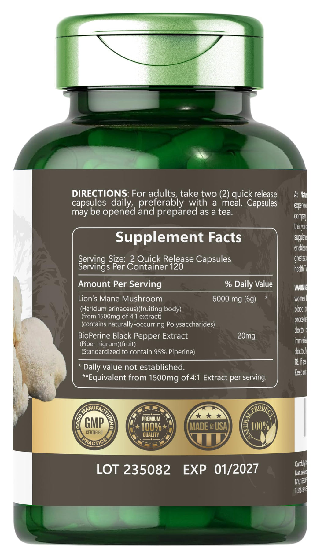 focus and memory support mushrooms