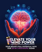 focus and memory support supplement
