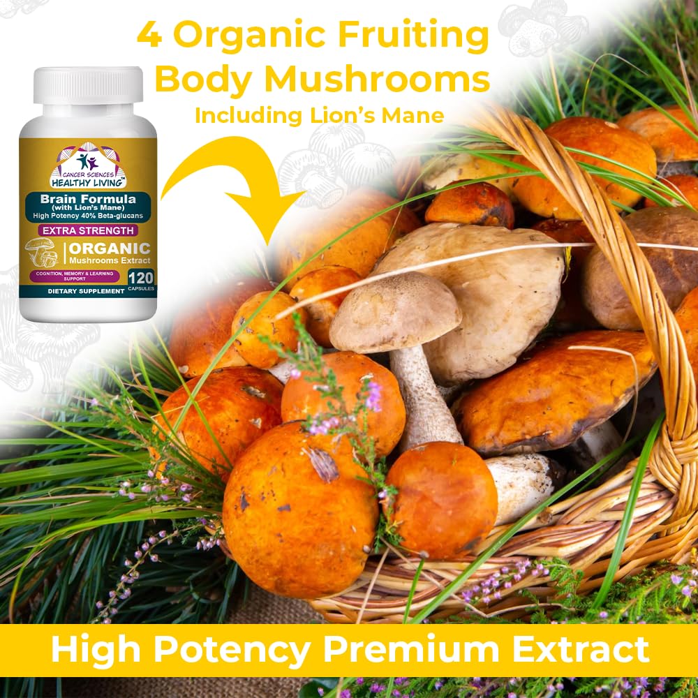 focus and memory support supplements