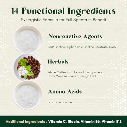 focus and memory support vitamins
