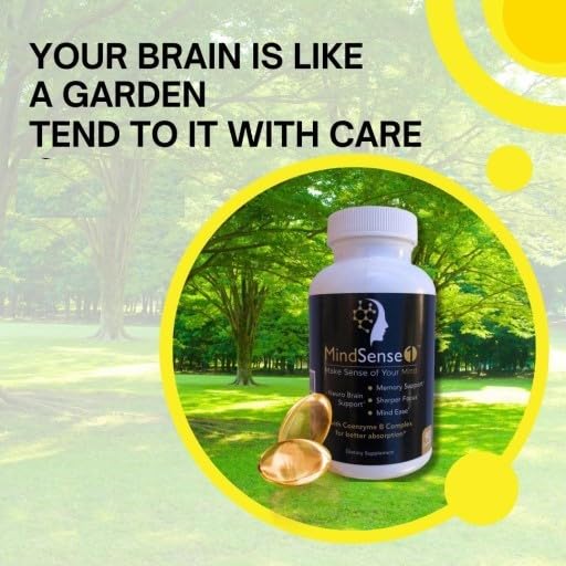 focus and memory support vitamins
