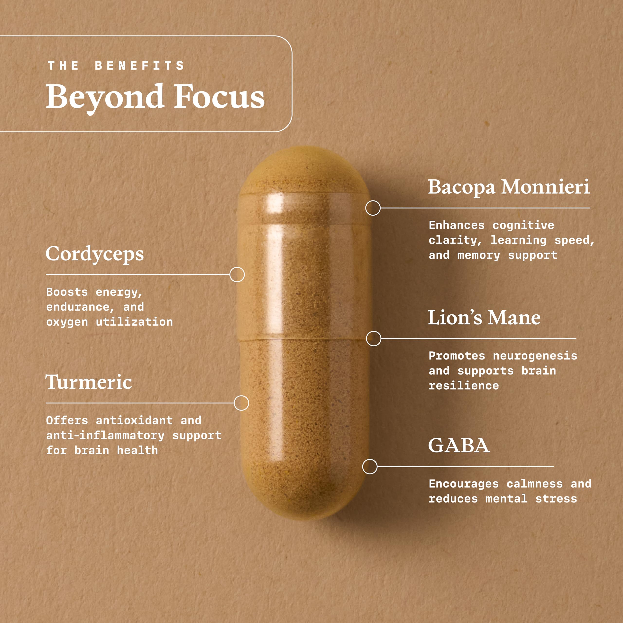 focus-boosting mushroom capsules Canada