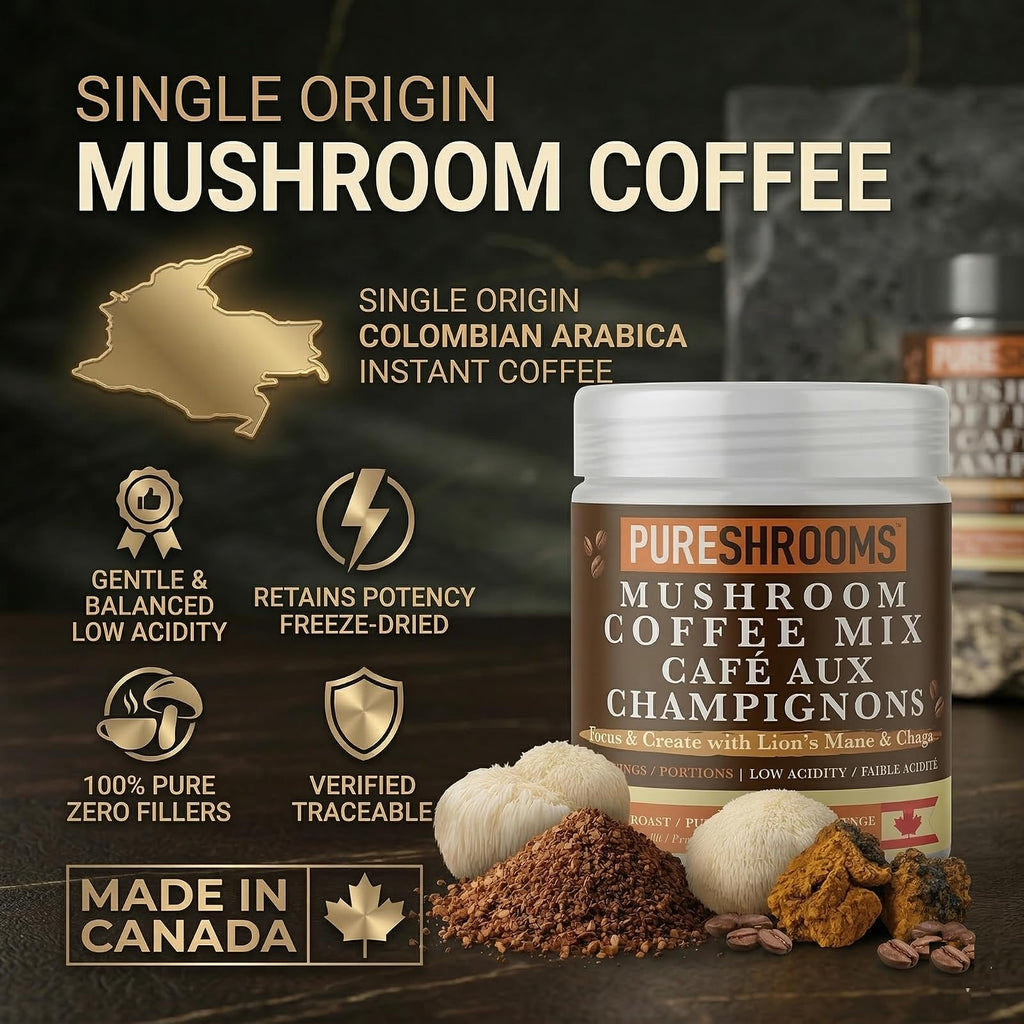 Focus & Create adaptogenic coffee blend