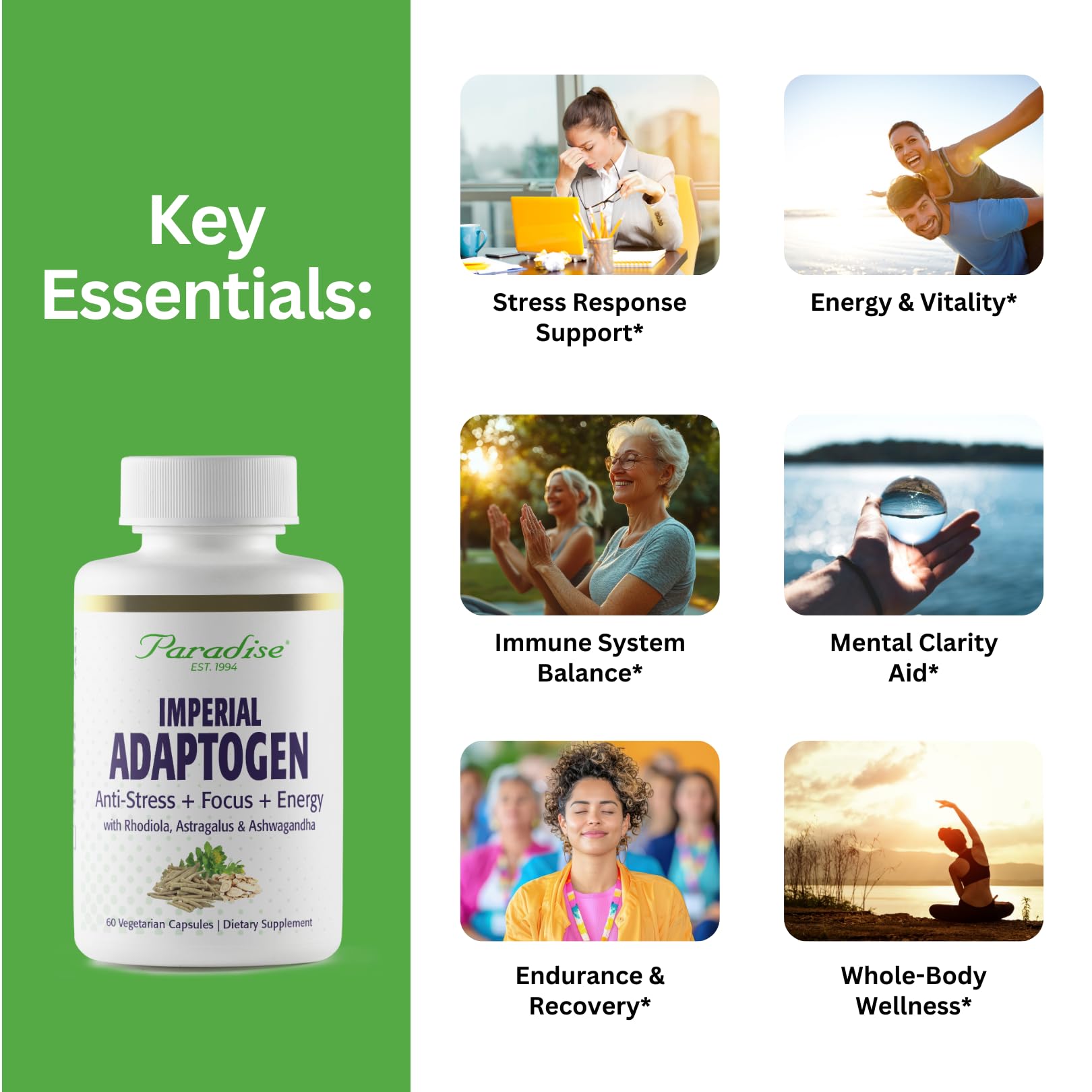 focus enhancing adaptogens for daily use