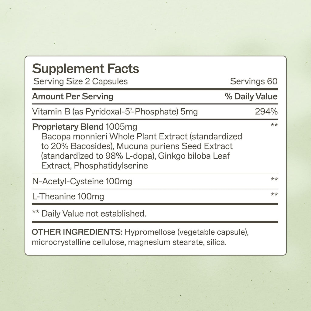 focus-enhancing ginkgo biloba tablets