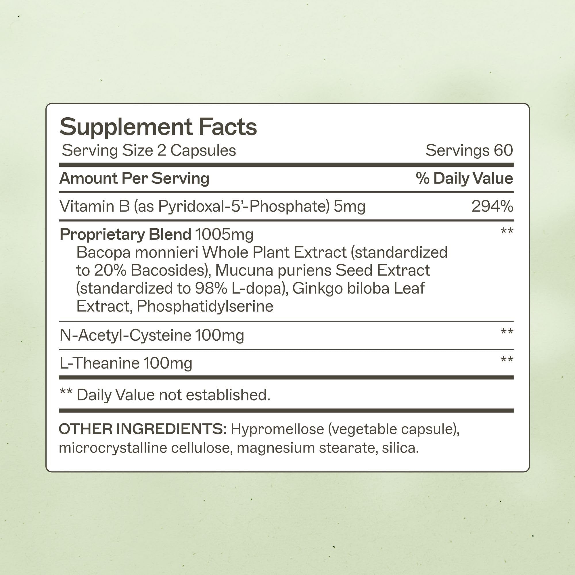 focus-enhancing ginkgo biloba tablets
