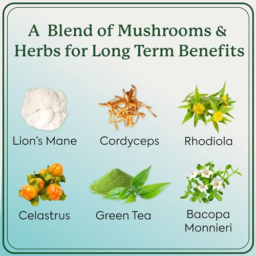 focus-enhancing herbal nootropic blend