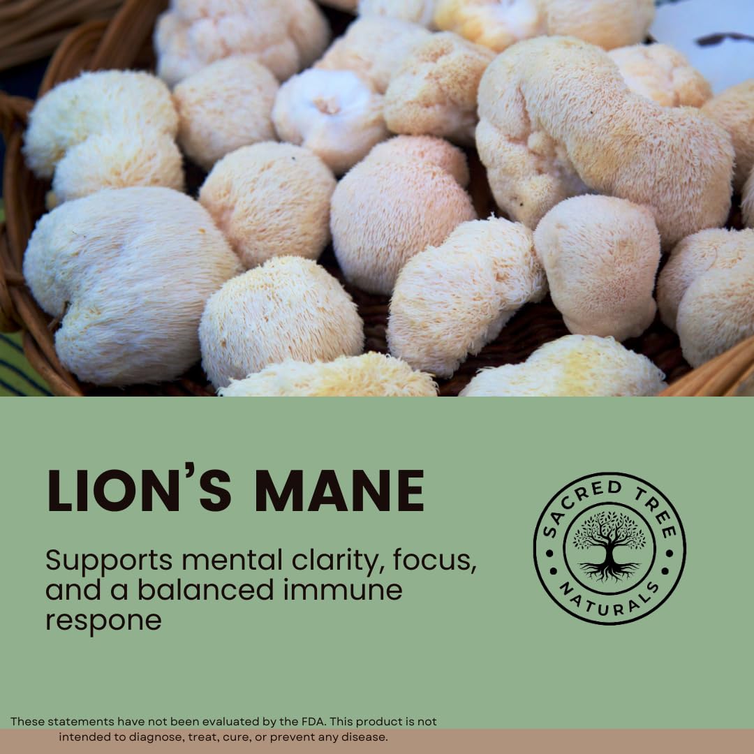 Focus-enhancing Lion's Mane mushroom pills