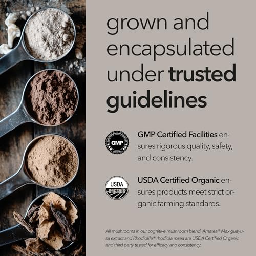 Focus-enhancing Lions Mane capsules