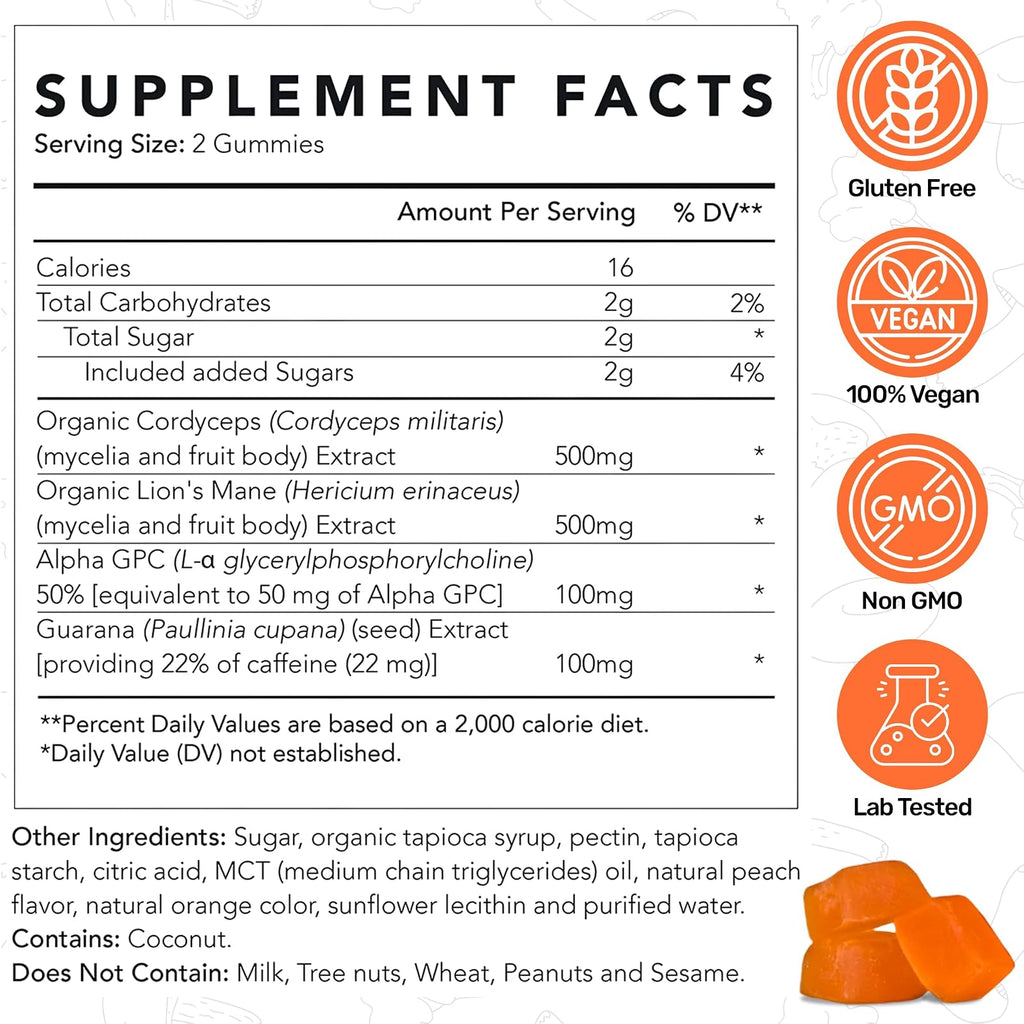 focus-enhancing multivitamin for adults