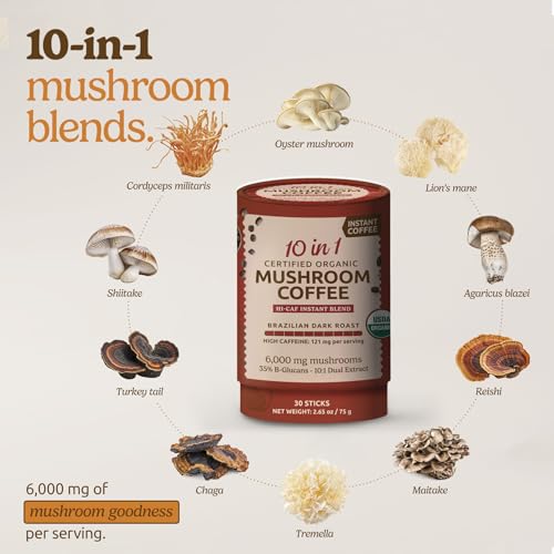 focus-enhancing mushroom beverage