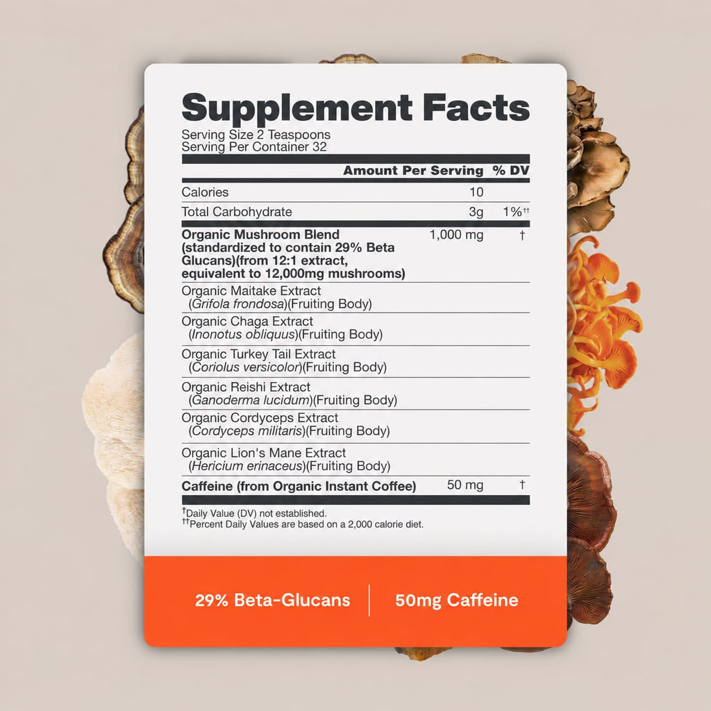 focus enhancing mushroom blend