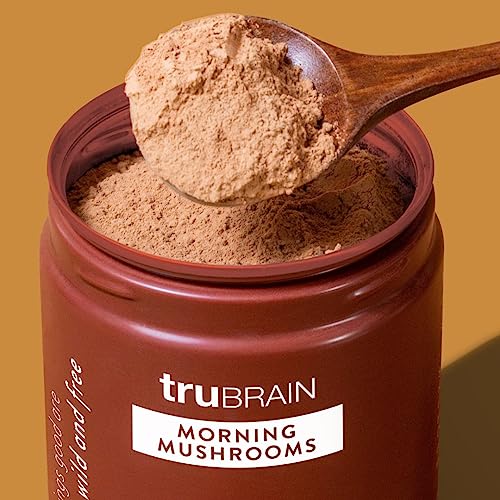 focus enhancing mushroom blend