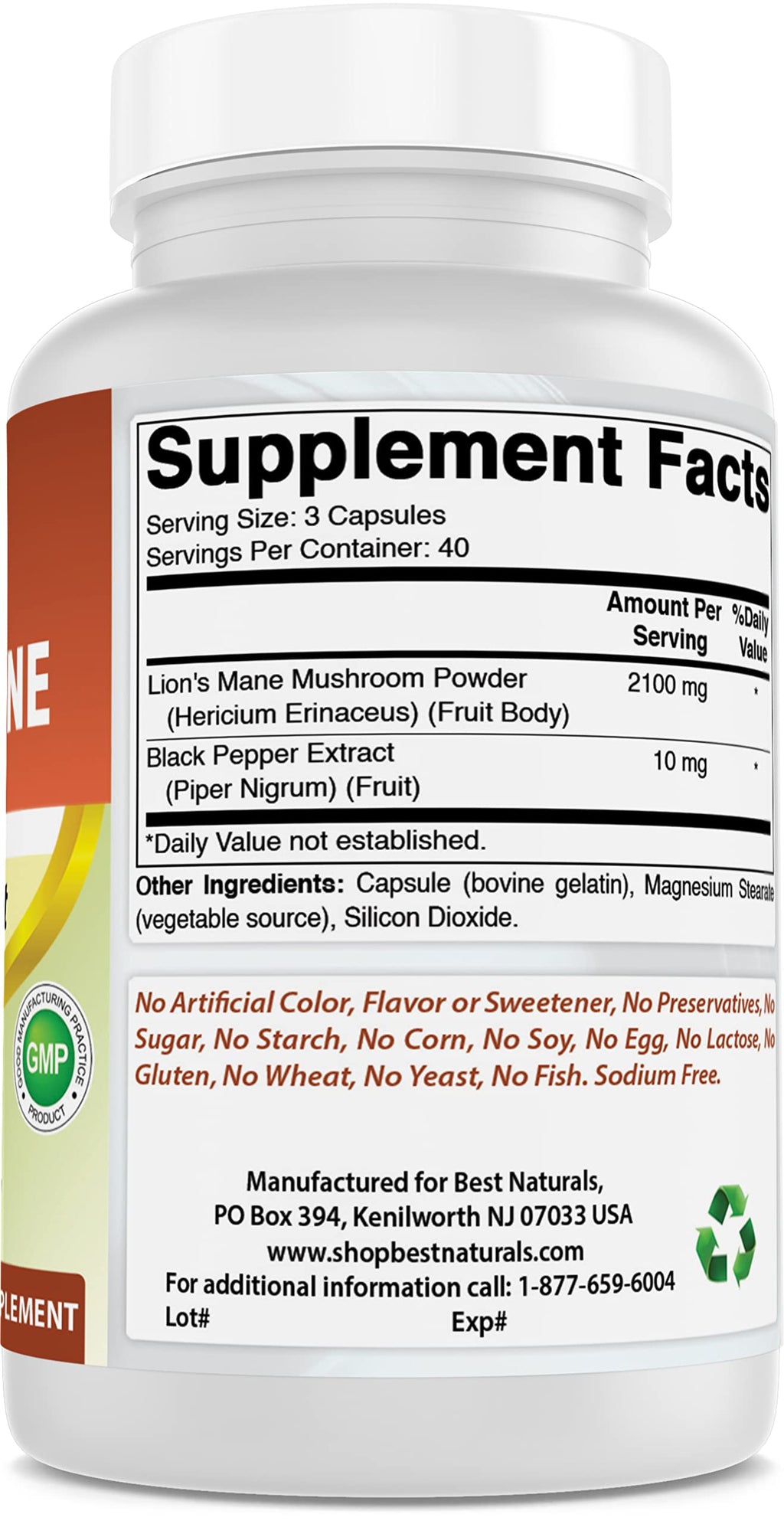 focus enhancing mushroom capsules