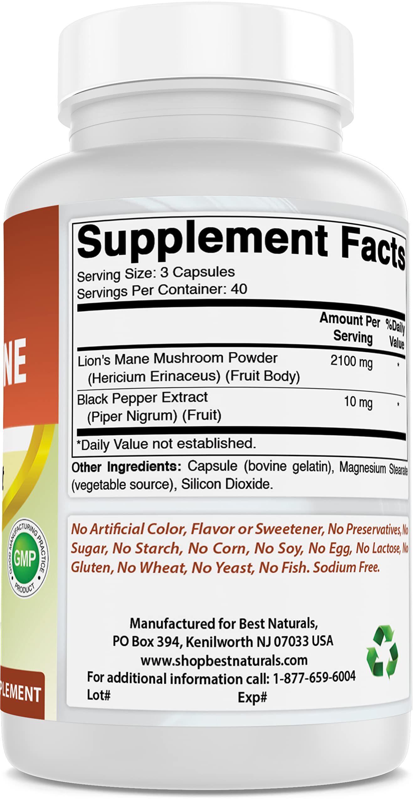 focus enhancing mushroom capsules