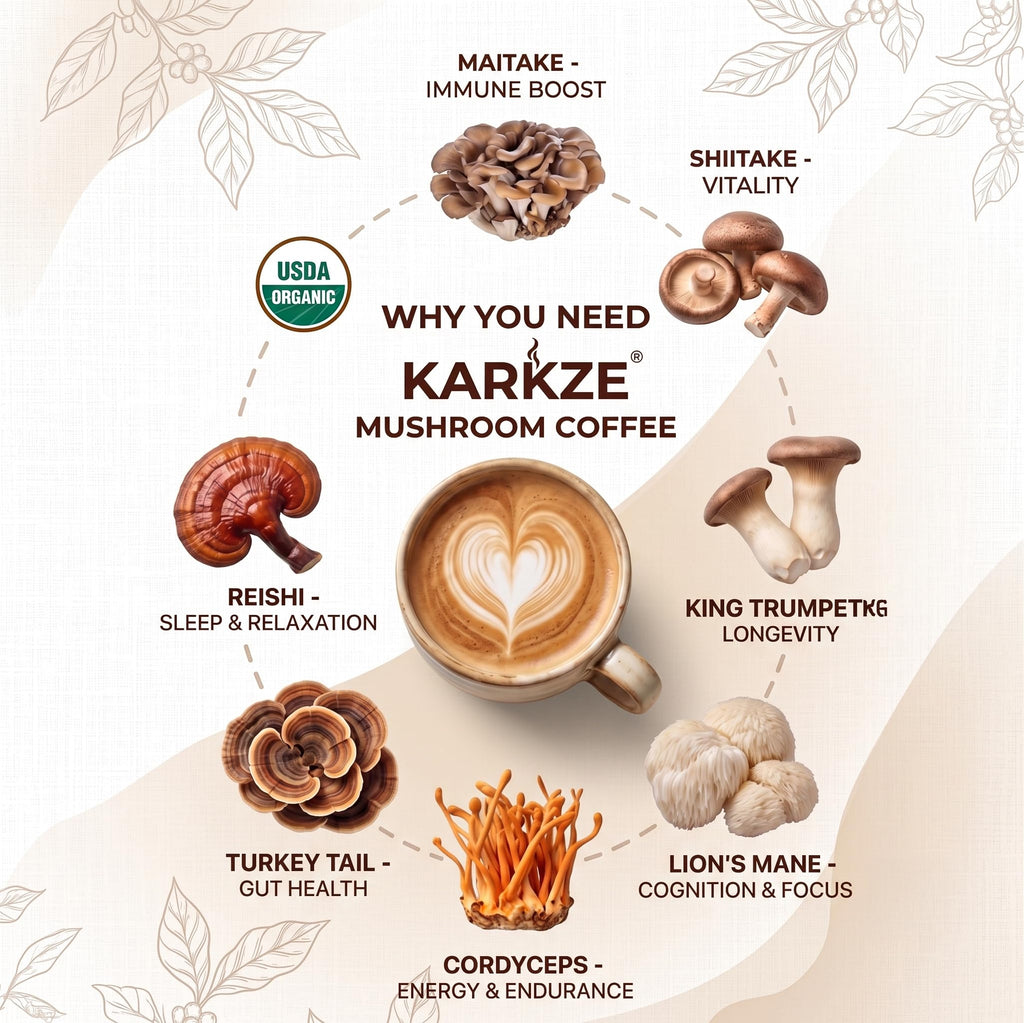 focus-enhancing mushroom coffee blend