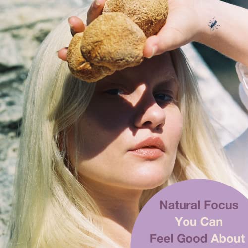 Focus-enhancing mushroom extract benefits