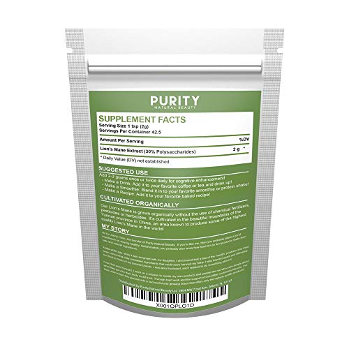focus enhancing mushroom extract