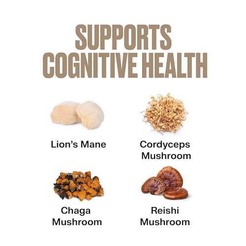 focus-enhancing mushroom gummies