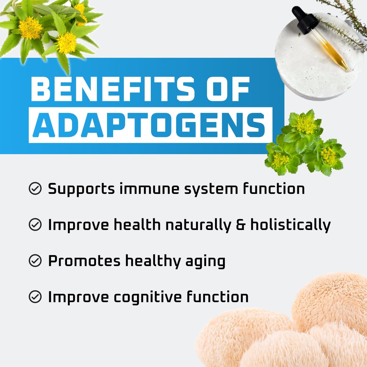Focus-enhancing mushroom liquid formula
