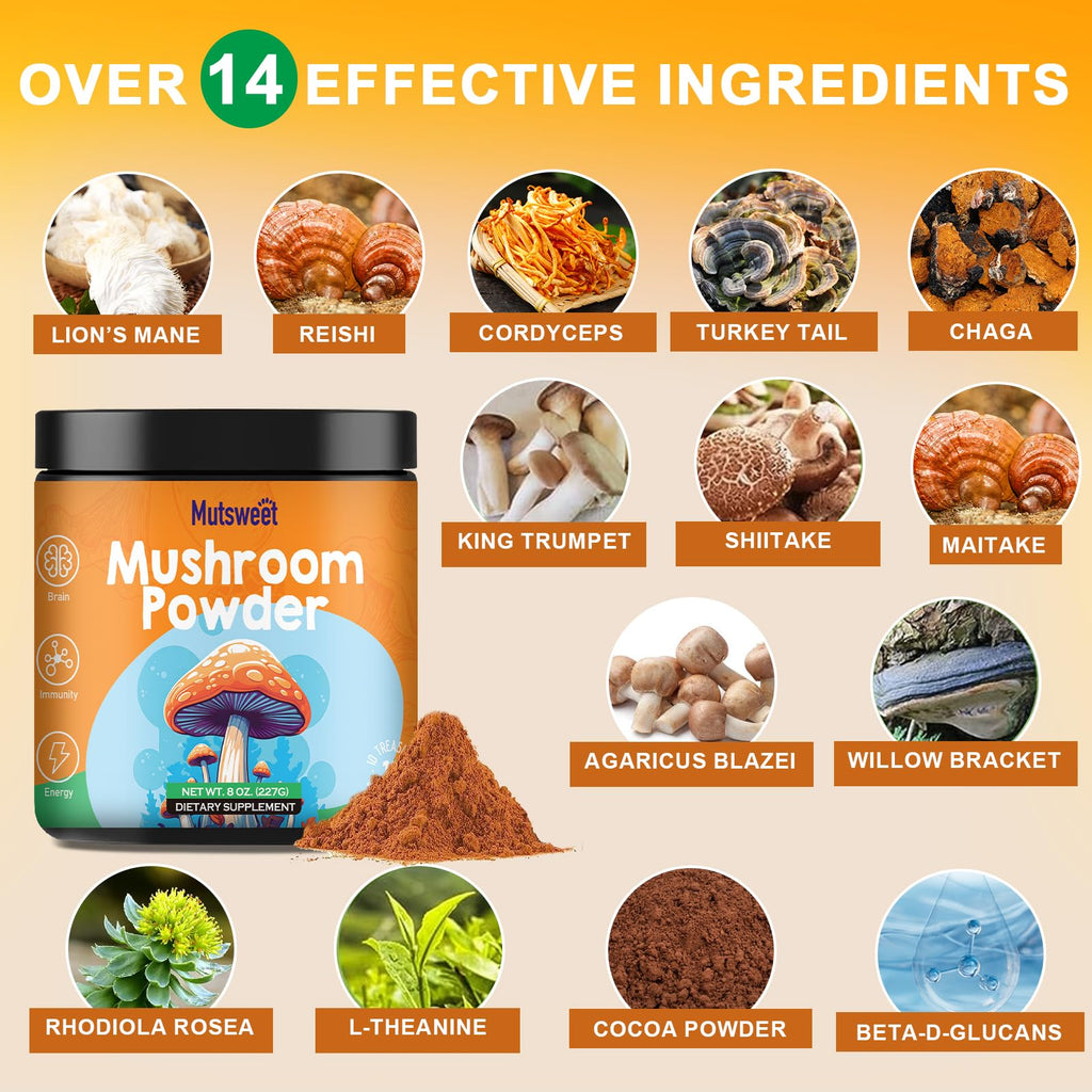 focus-enhancing mushroom powder supplement
