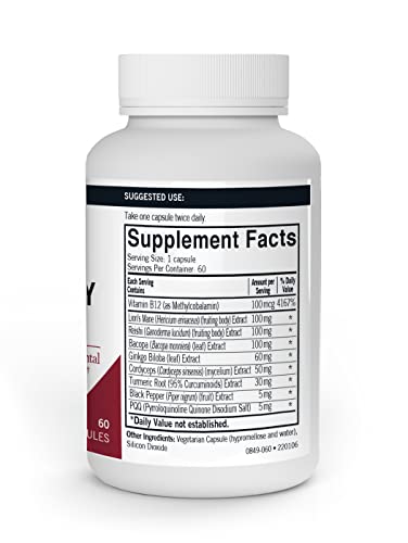 focus-enhancing mushroom supplement