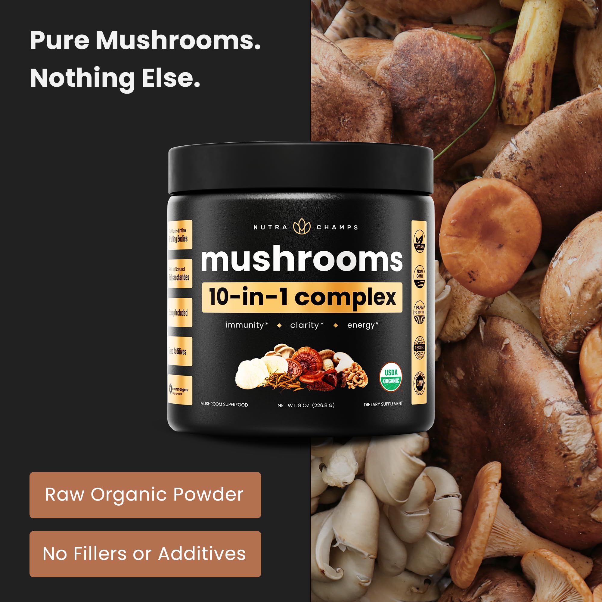 focus enhancing mushroom supplement