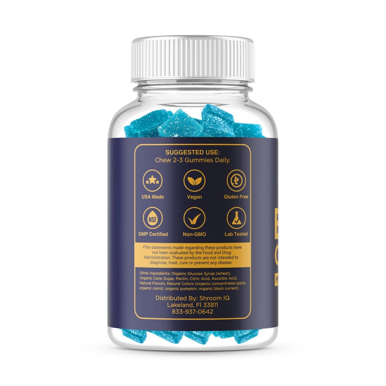 focus-enhancing mushroom supplements
